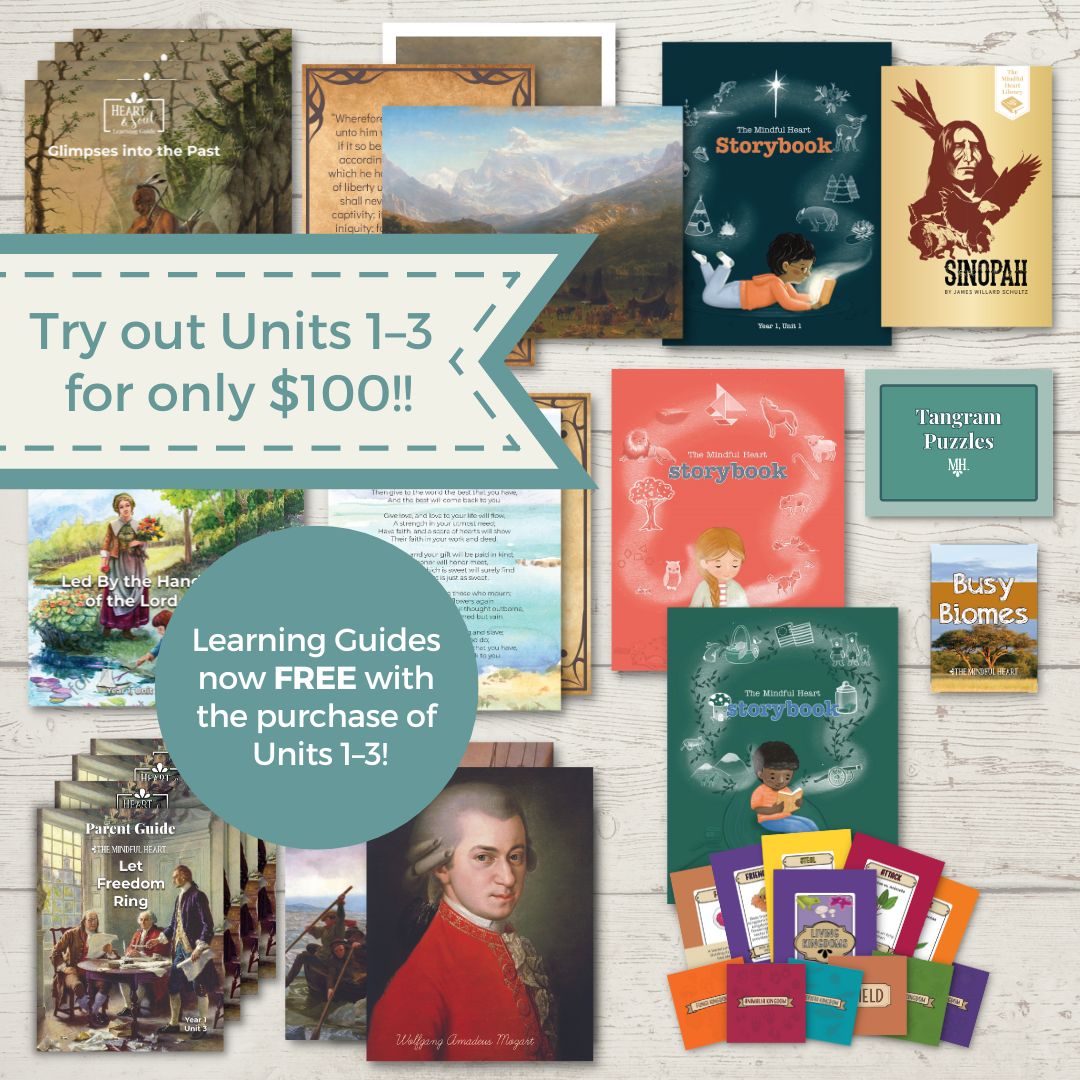 American History Collections 1–3 Starter Pack Sale – The Mindful Heart